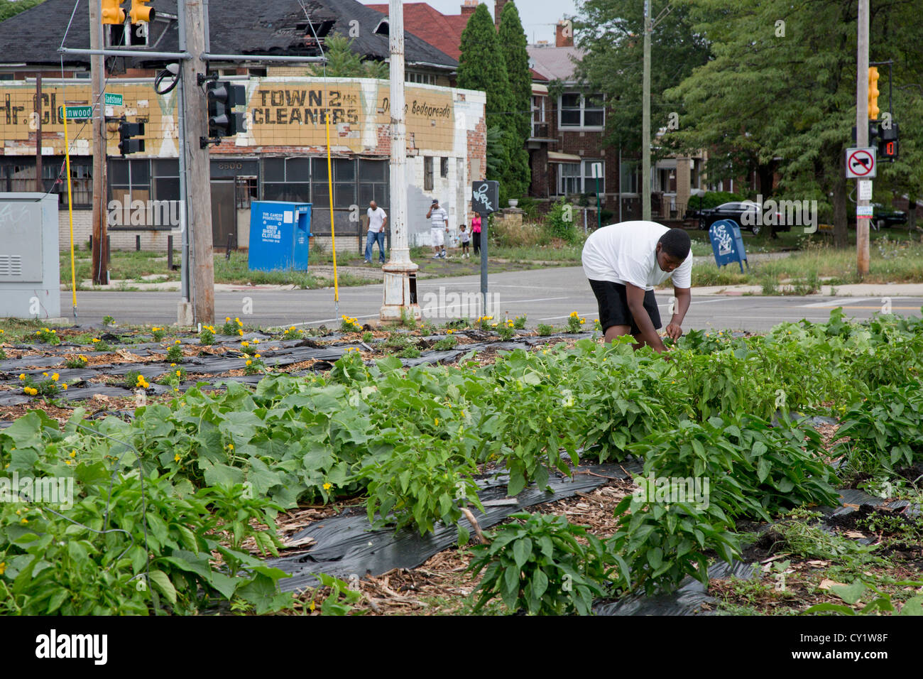Detroit, Michigan - A volunteer works in a community garden Stock Photo ...