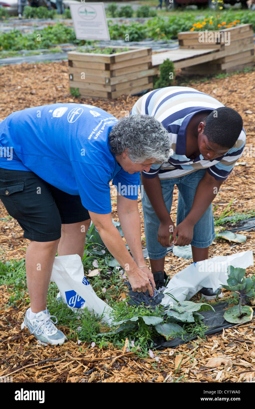 Detroit, Michigan - Volunteers from the American Federation of Teachers ...