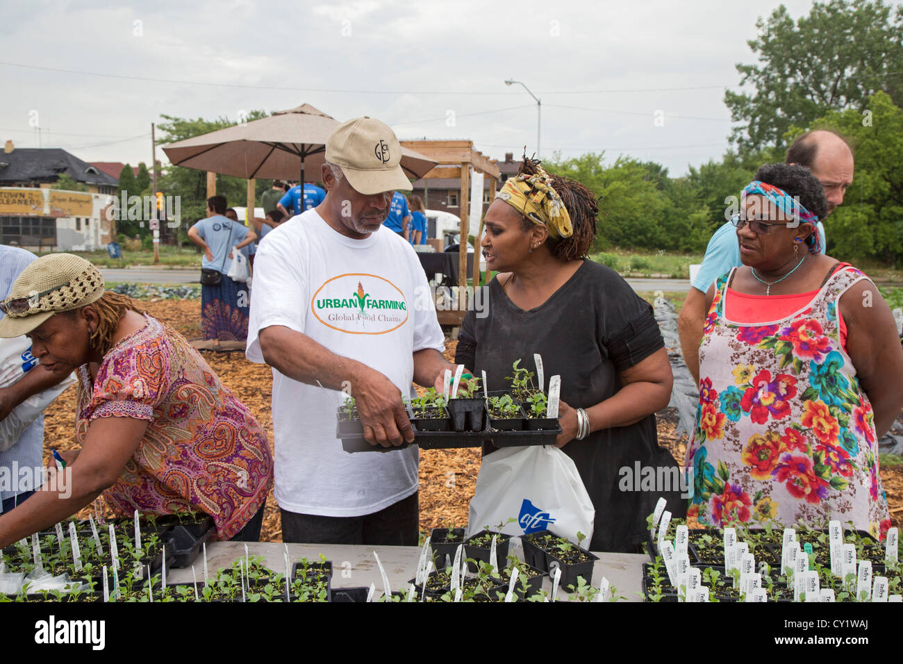 Detroit residents select seedlings to grow in their gardens. The ...