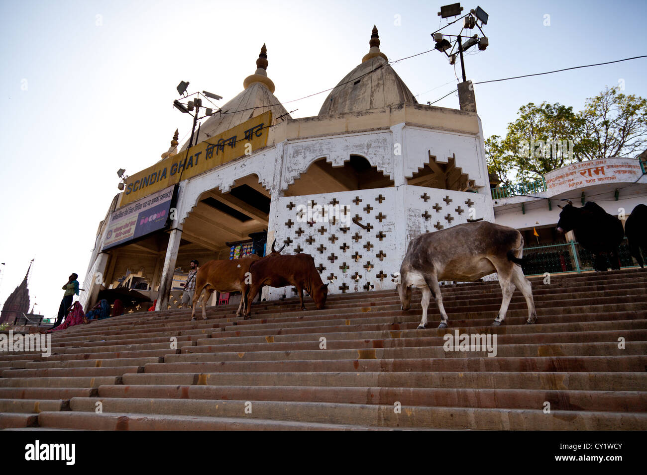 Typical Stairways at the Ghats on the Riverbanks of the Ganges in ...