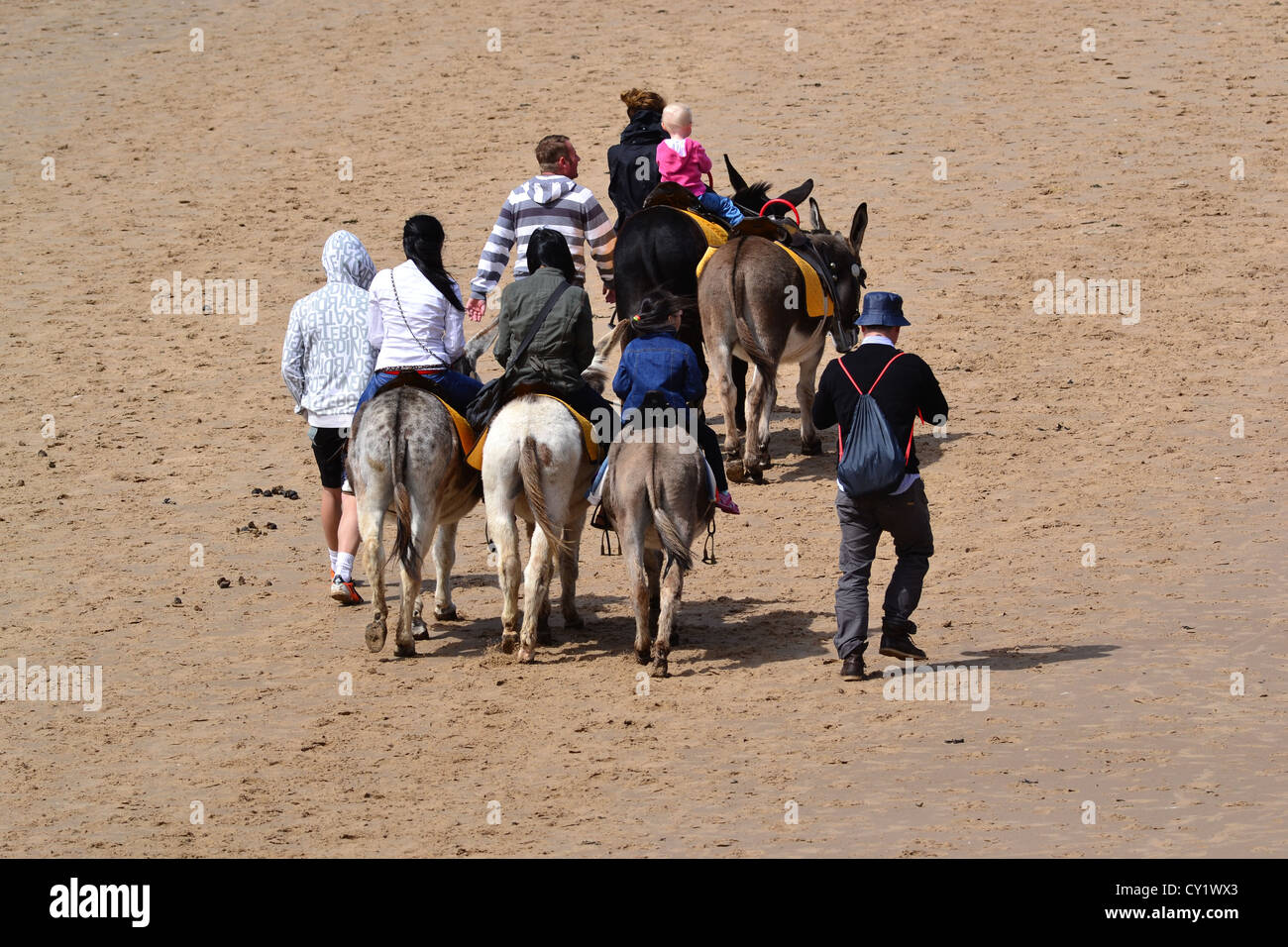 Beach blackpool donkeys hi-res stock photography and images - Alamy
