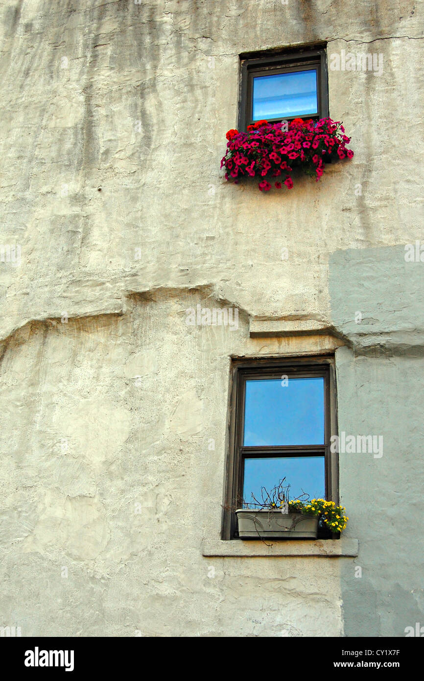 Two Windows from the High Line Park, New York Stock Photo - Alamy