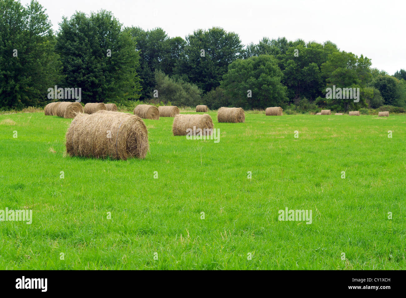 Baled field hi-res stock photography and images - Alamy