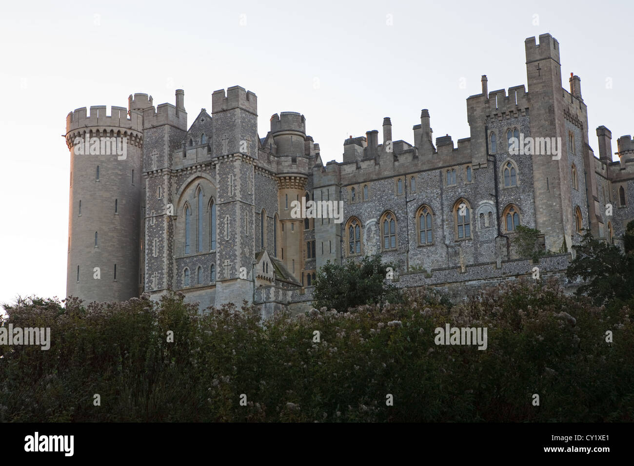 Arundel Castle is set up on a hill with trees in front Stock Photo - Alamy