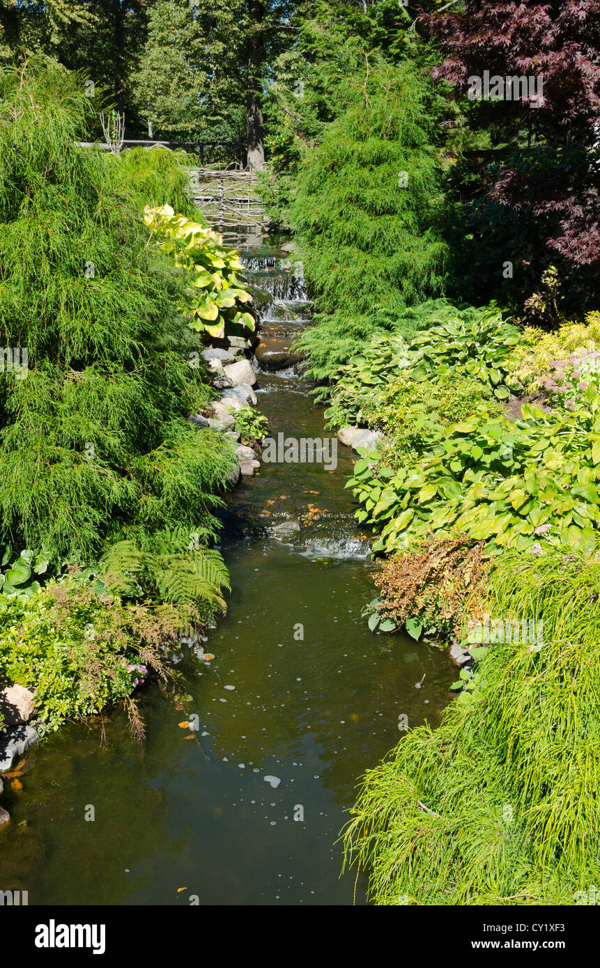 Small stream in Public Gardens Stock Photo - Alamy