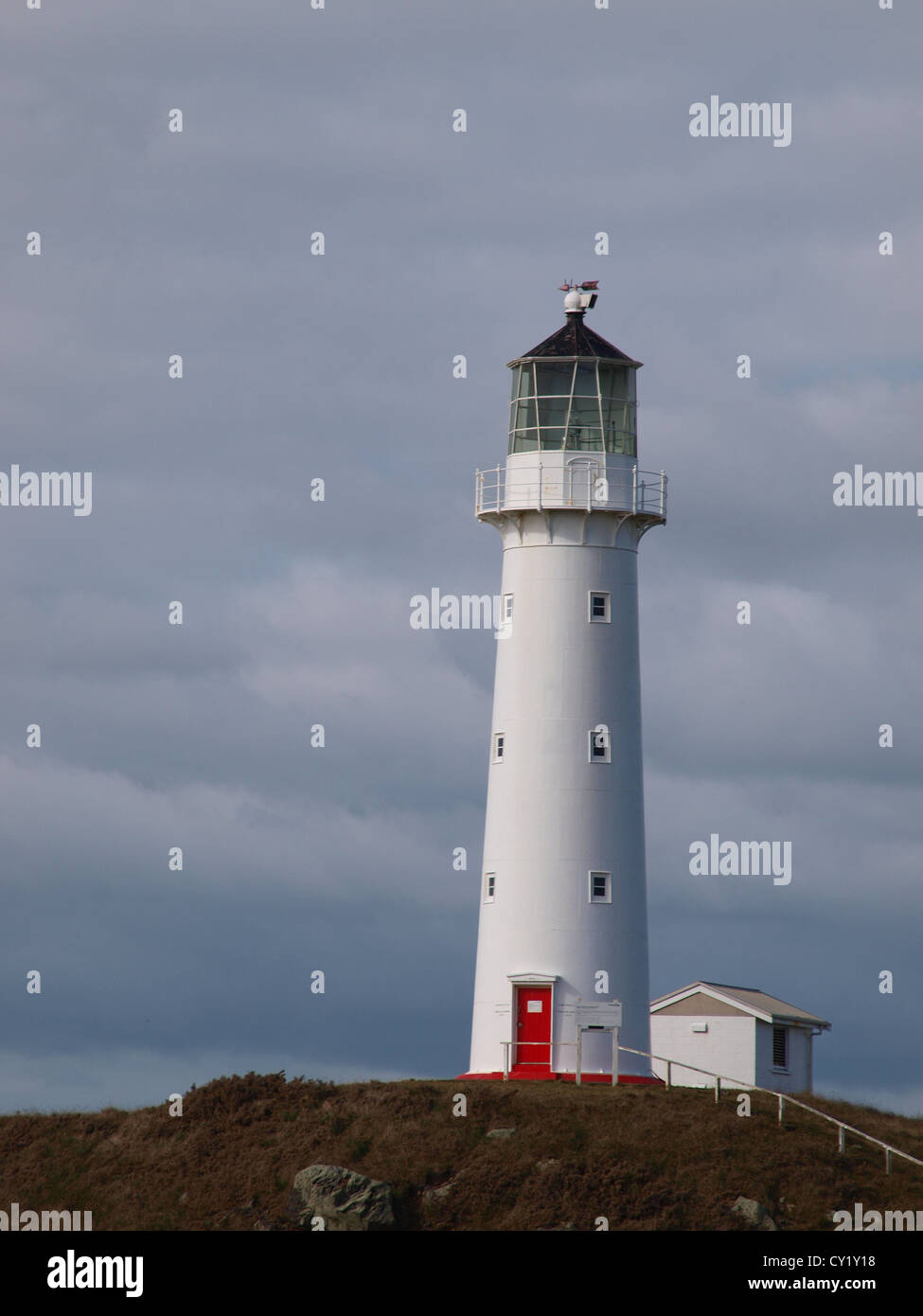 Cape Egmont Lighthouse, Taranaki, New Zealand Stock Photo - Alamy