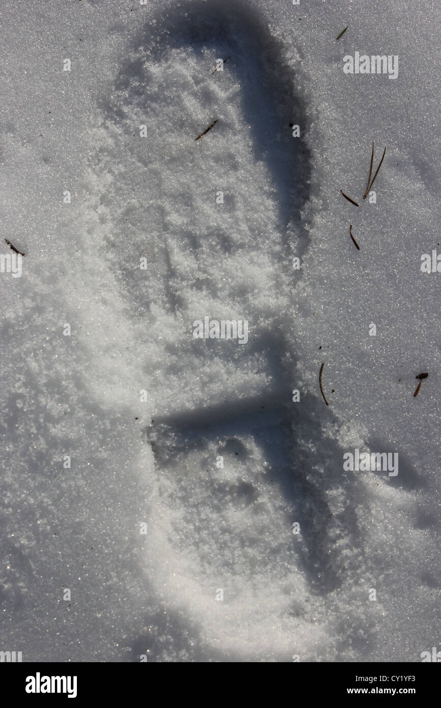 footprint in snow, mountains, trekking, walking in snow, winter season ...