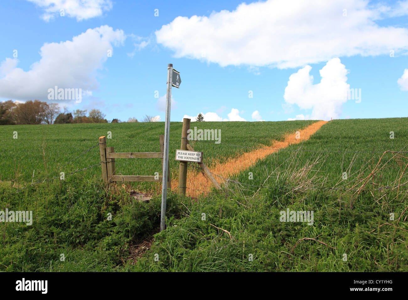 Public Foot Path, Cheshire, England, UK Stock Photo - Alamy