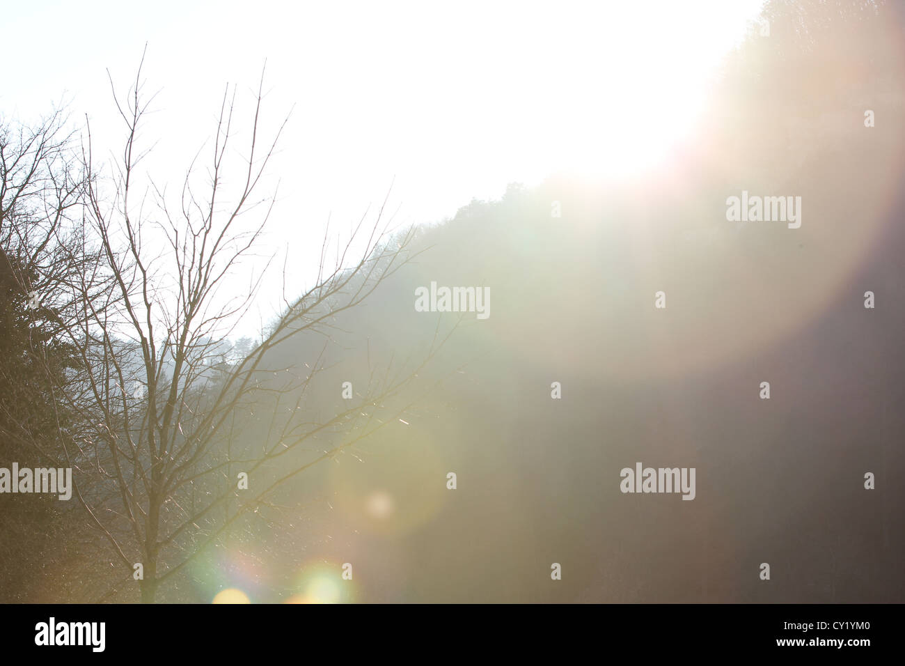 Lens blare in camera hi-res stock photography and images - Alamy