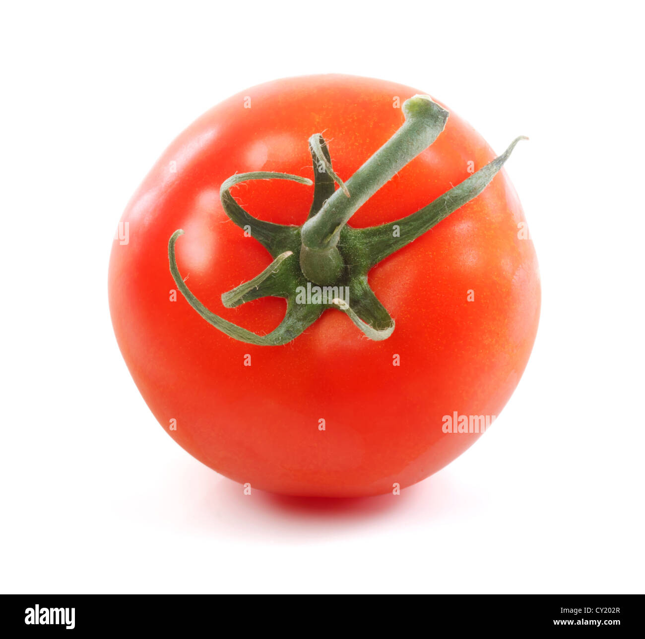 Tomato top isolated on white Stock Photo - Alamy