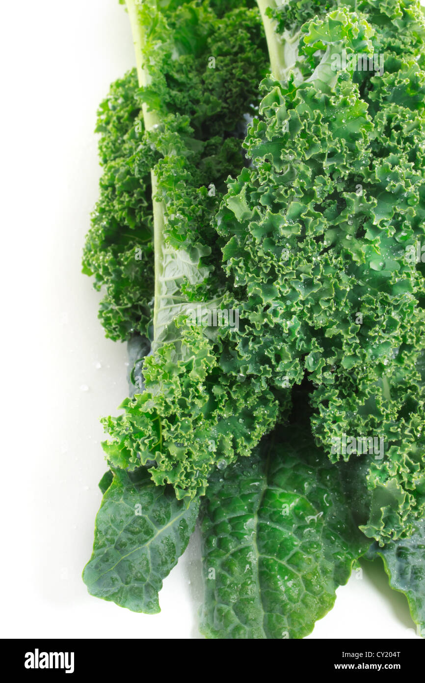 Kale white background hi-res stock photography and images - Alamy