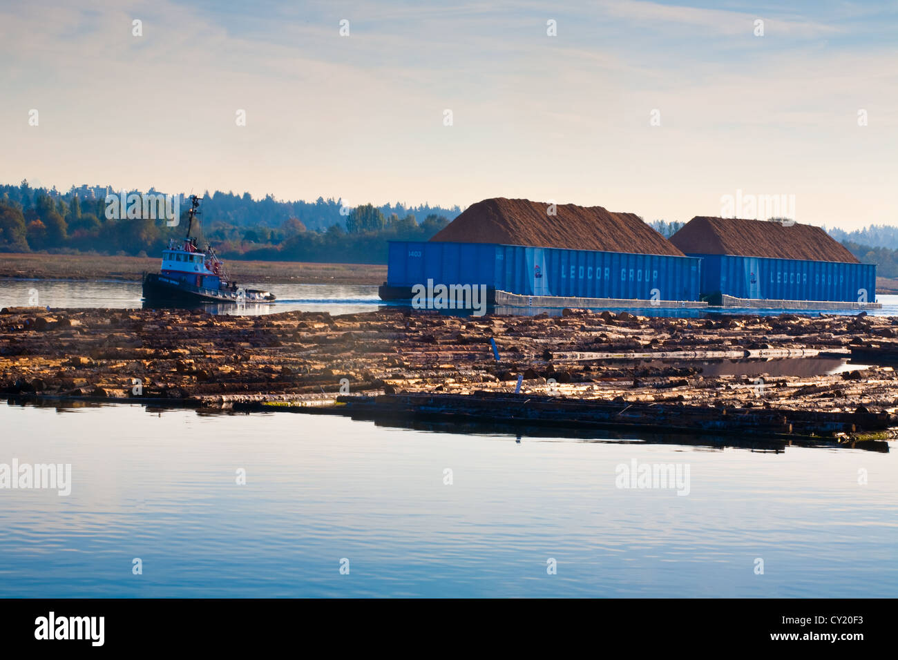 Tug boat towing two barges loaded with wood chips Stock Photo - Alamy