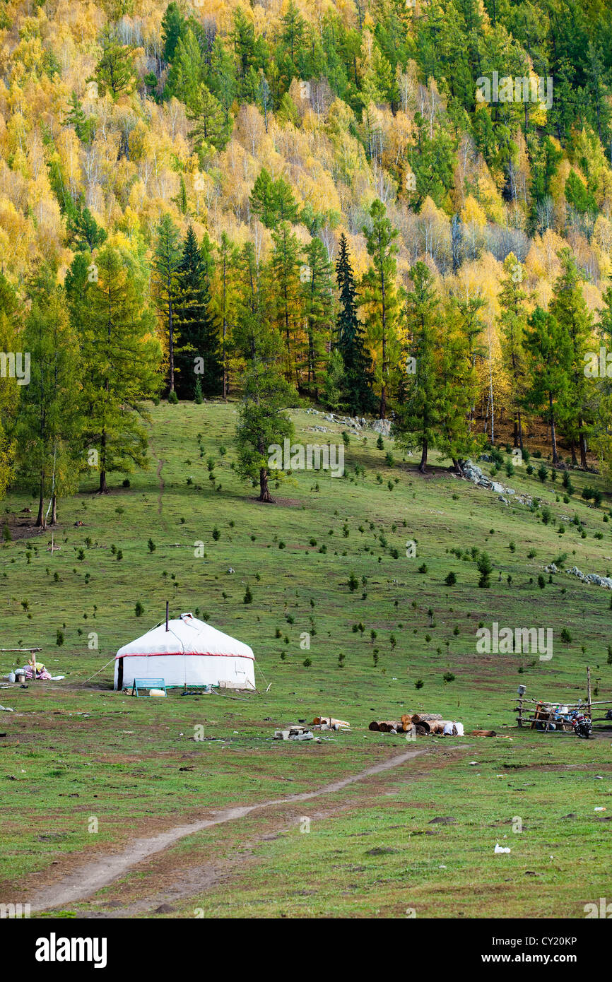 Xinjiang woods and woods hi-res stock photography and images - Alamy
