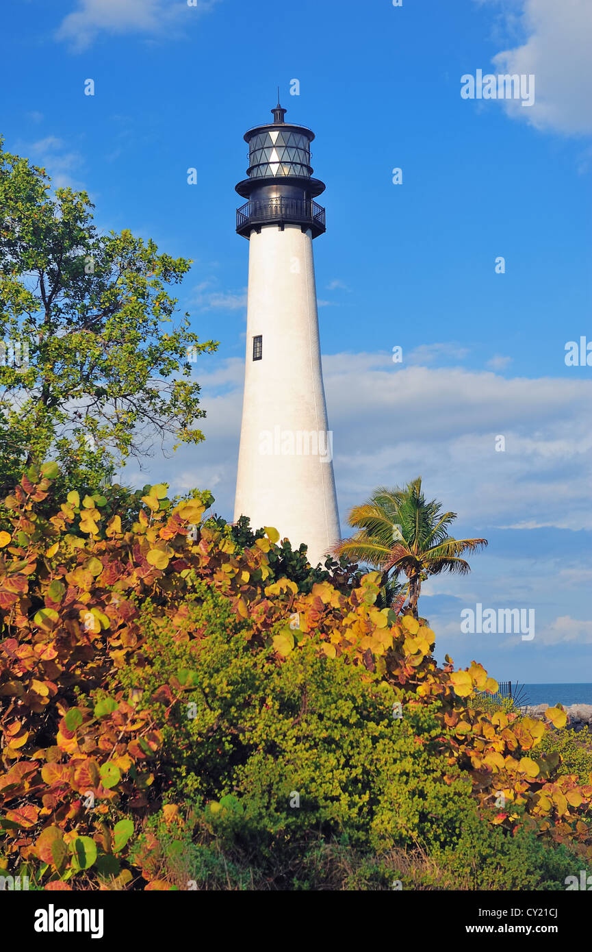 Cape Florida Light lighthouse with Atlantic Ocean and palm tree at ...