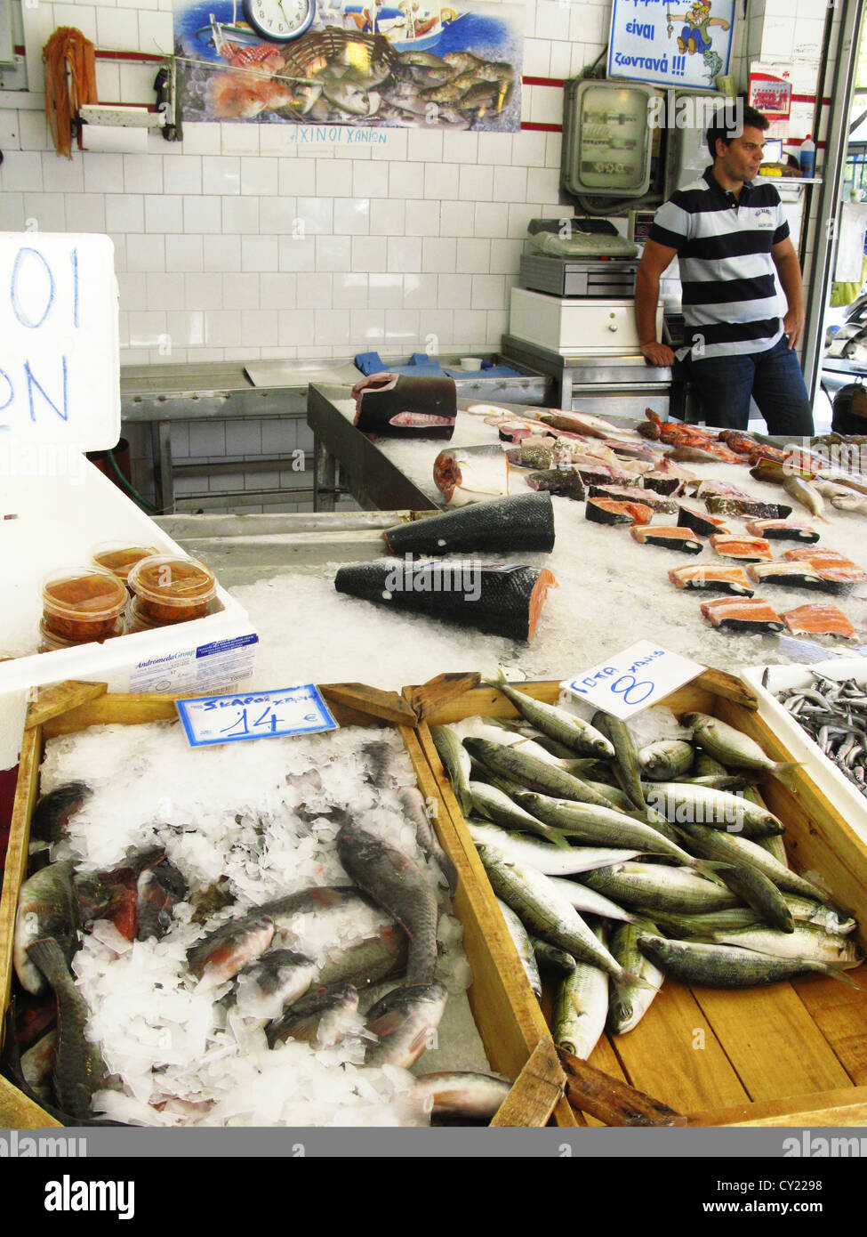 Freshly caught Fish on sale, Chania, Crete, Greece Stock Photo - Alamy