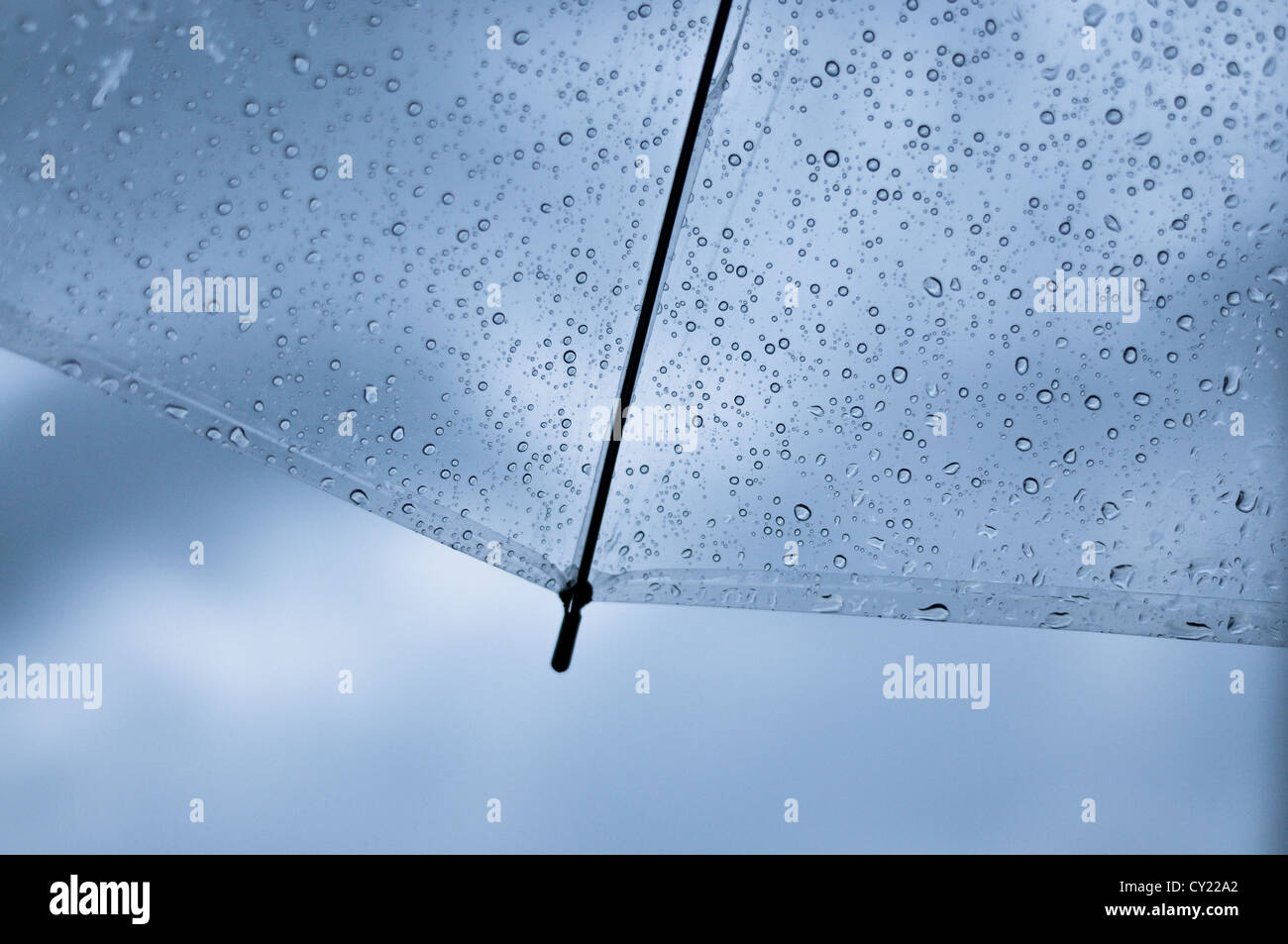 Close up scene; Transparent Umbrella with raindrop Stock Photo - Alamy