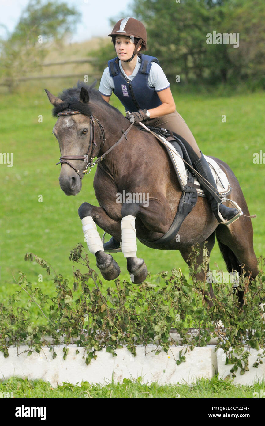Animal jumping over a fence hi-res stock photography and images - Alamy