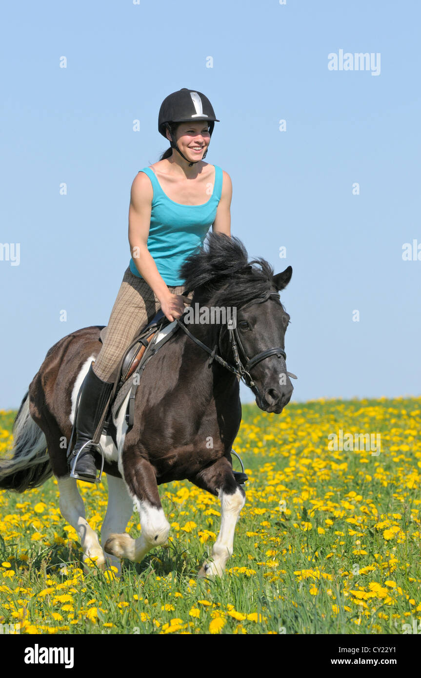 Animal canter cantering gallop galloping horse ponies spring young hi ...