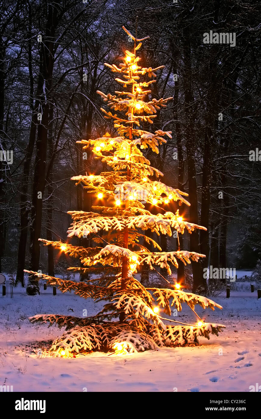 Illuminated christmas snow hi-res stock photography and images - Alamy