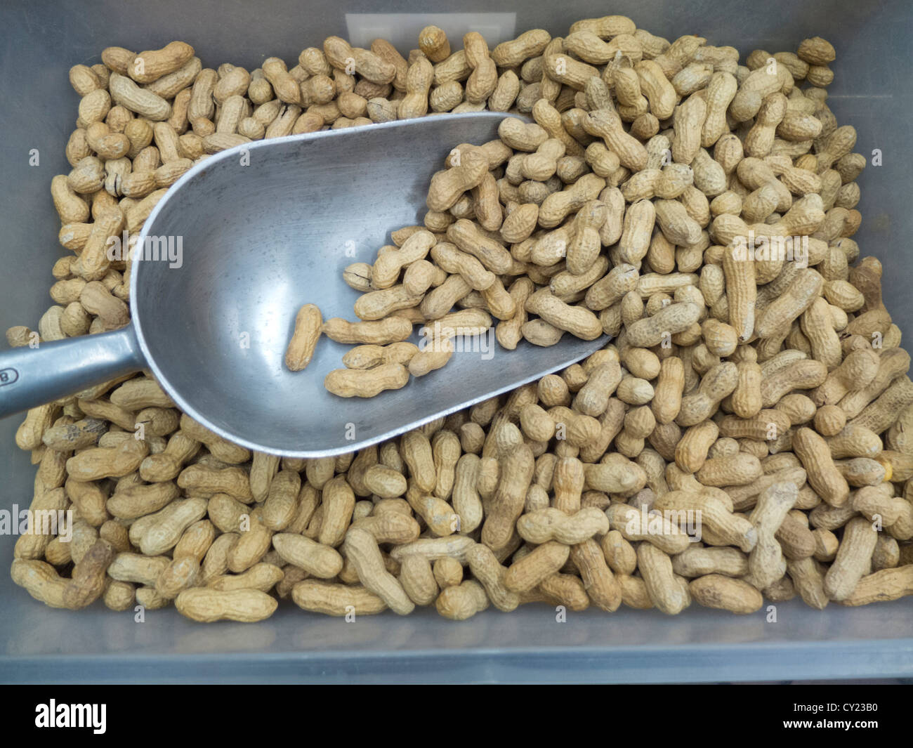 peanuts with shell on Stock Photo - Alamy
