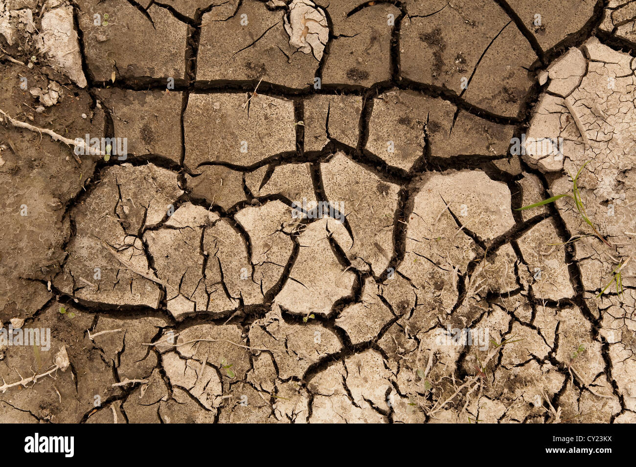 Close-up of dry soil texture with cracks Stock Photo - Alamy