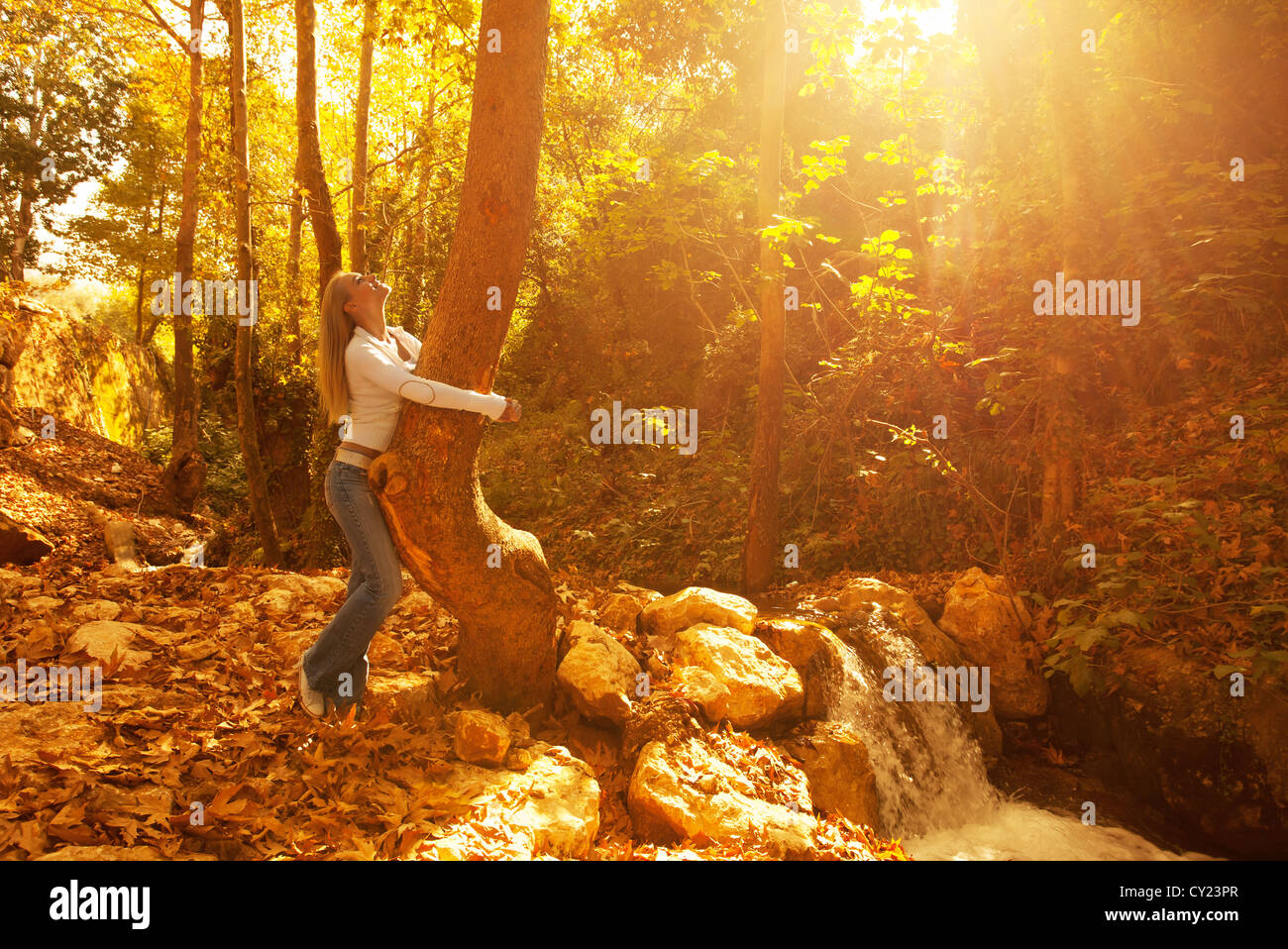 Picture of pretty woman enjoying autumnal nature, cute girl hug tree in ...