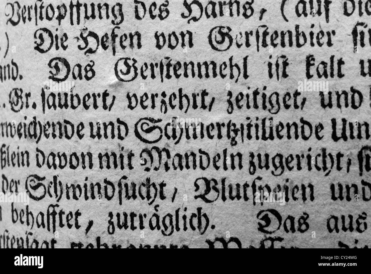 German Gothic Calligraphy Fonts