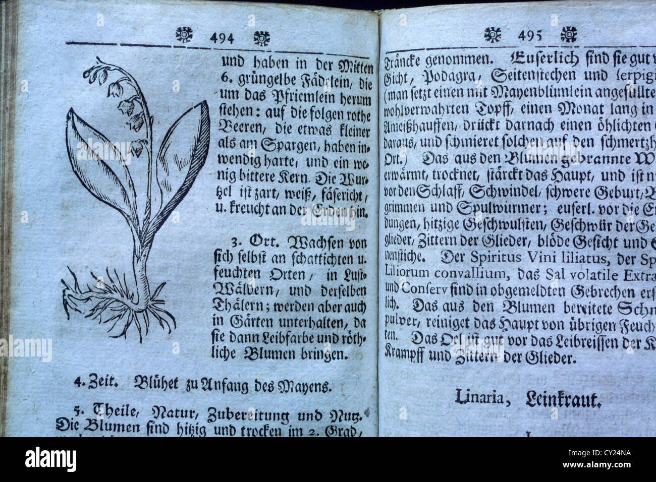 German gothic language hi-res stock photography and images - Alamy