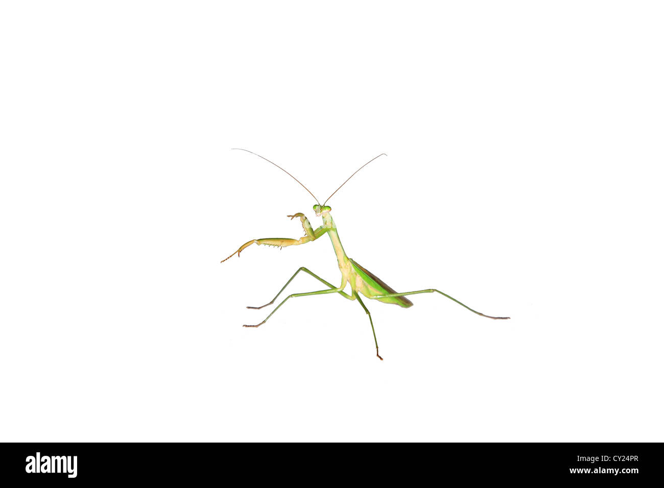 Prefecture fukushima hi-res stock photography and images - Alamy