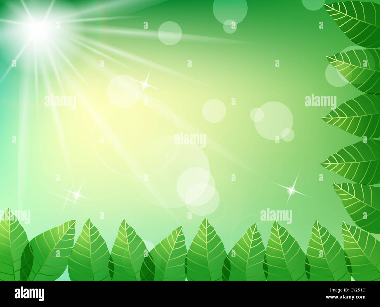 Green leaves in sunlight background Stock Photo - Alamy