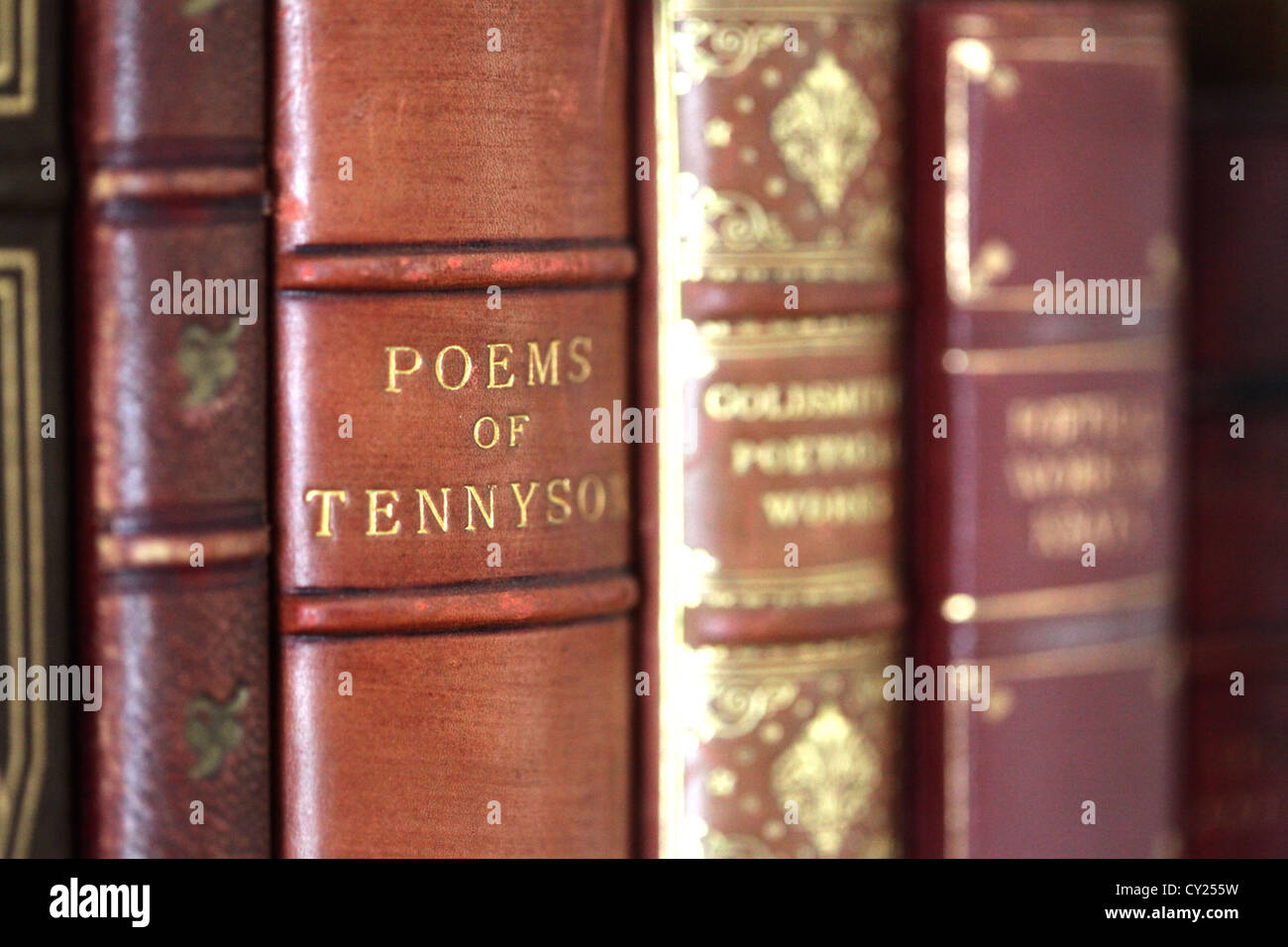 Library Stock Photo - Alamy