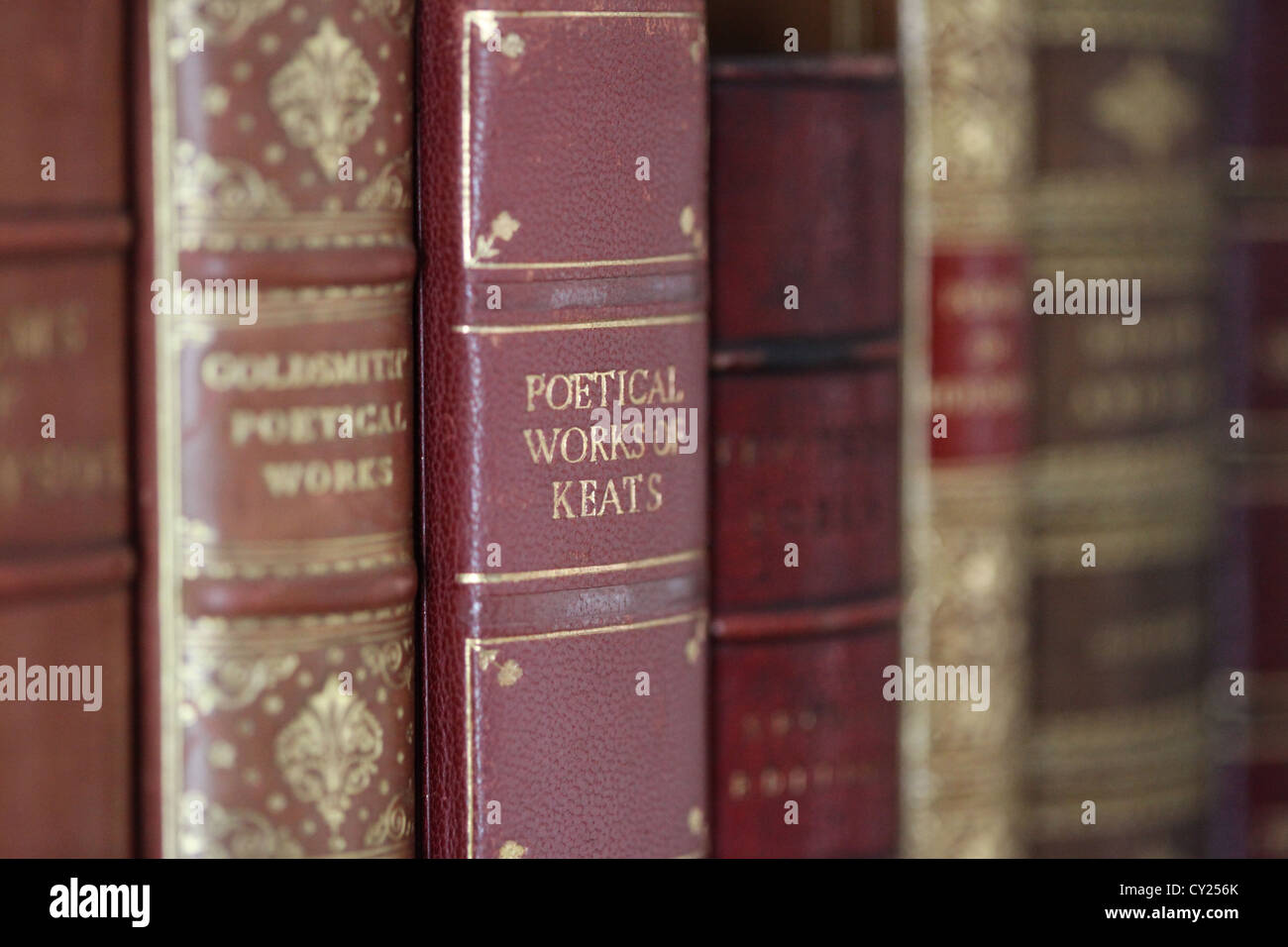 Library of the chapter hi-res stock photography and images - Alamy