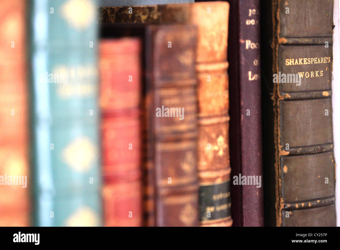 Book lined shelves hi-res stock photography and images - Alamy