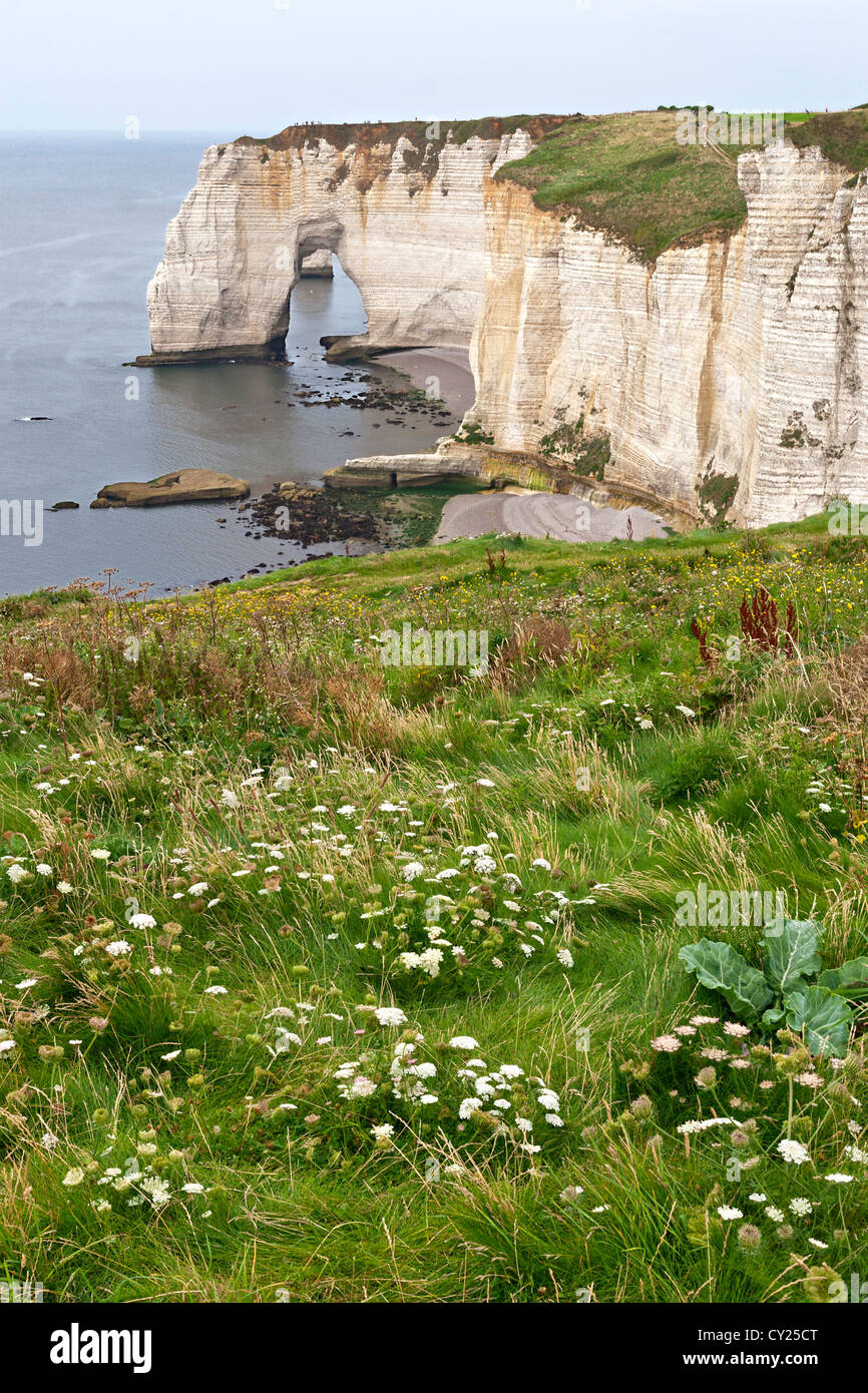 Cliffs of Etretat, Normandy, France Stock Photo - Alamy