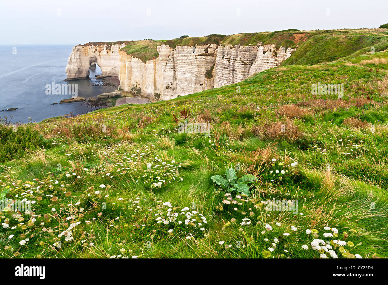 The cliffs of etretat hi-res stock photography and images - Alamy
