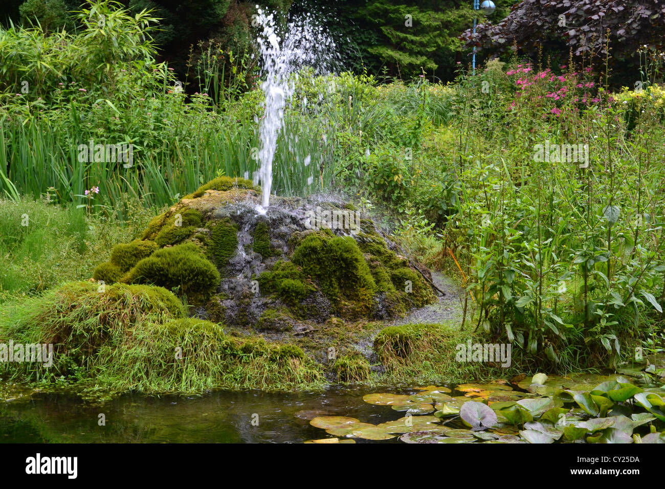 Digital water bath hi-res stock photography and images - Alamy