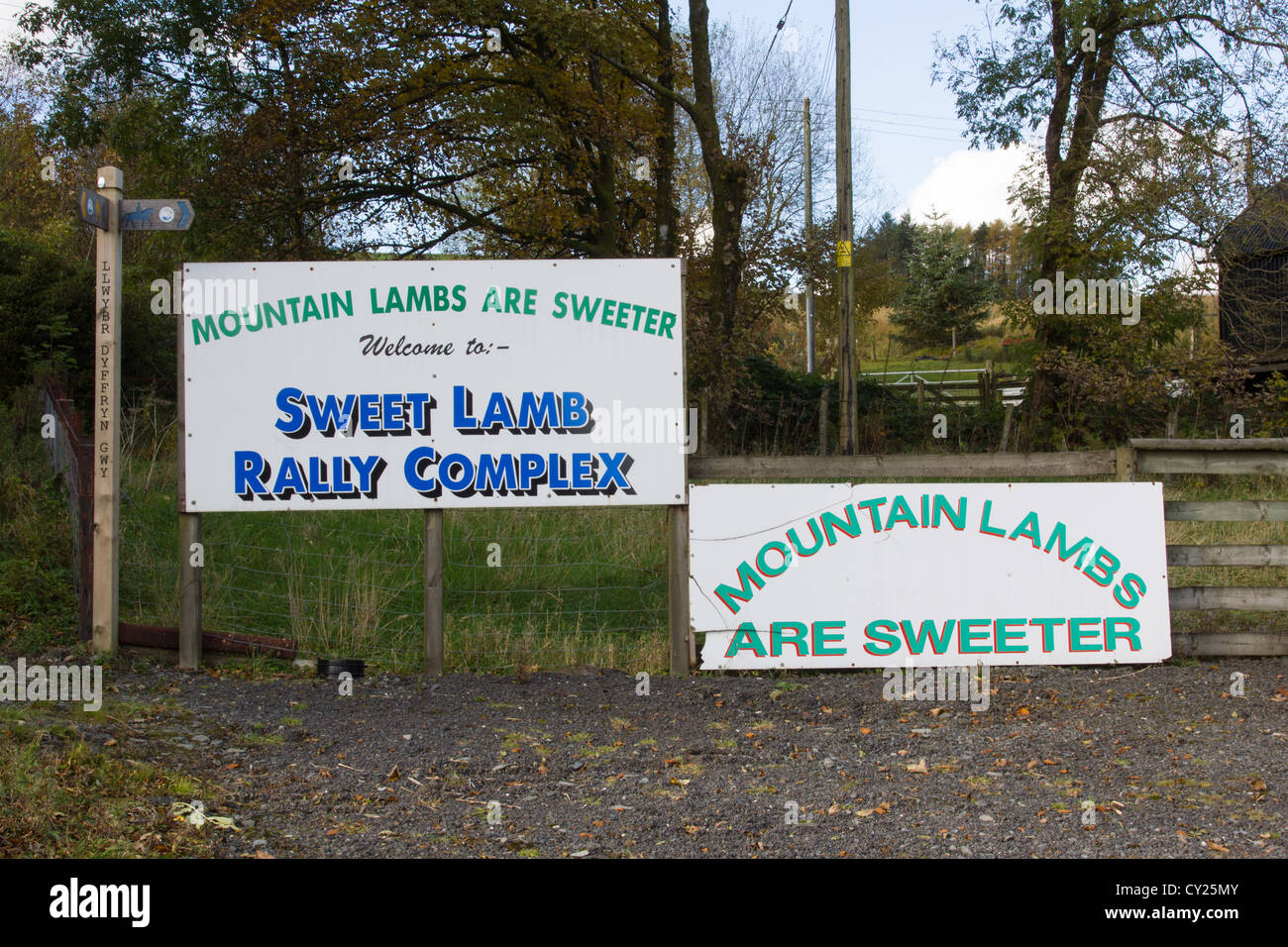 Sweet Lamb rally complex near Llangurig Stock Photo - Alamy