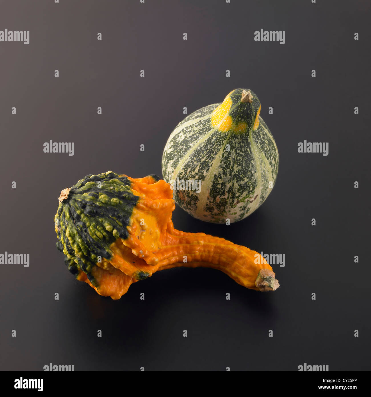 Ornamental gourds on a grey background Stock Photo - Alamy