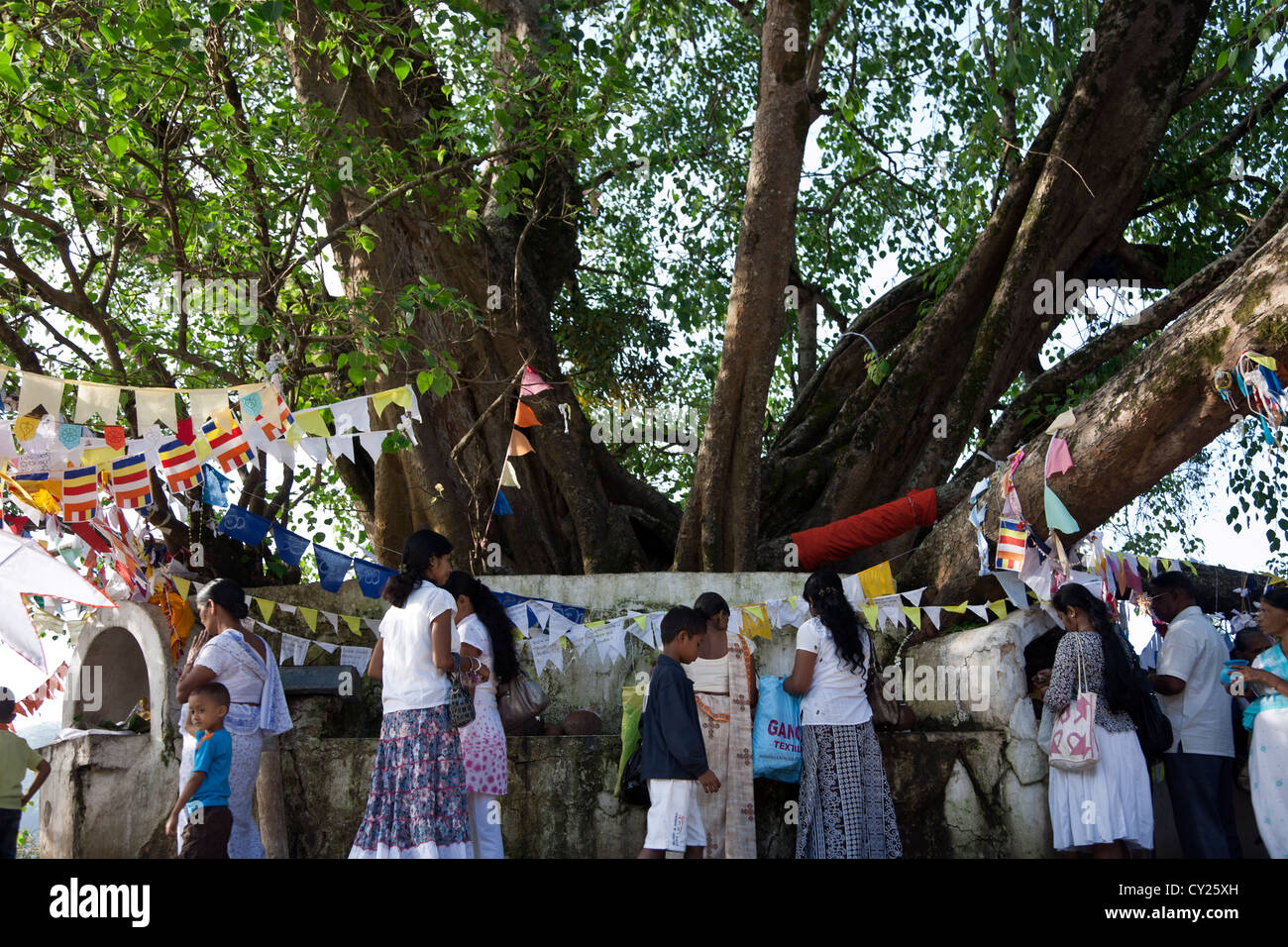 Pilgrims worshiping the sacred Bodhi tree. Temple of the Sacred Tooth ...