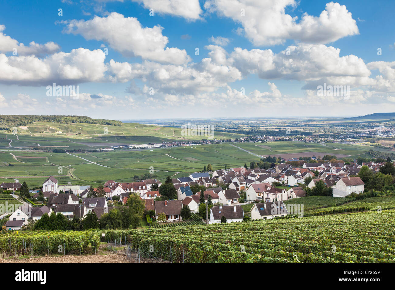 Champagne region, vineyard hi-res stock photography and images - Alamy