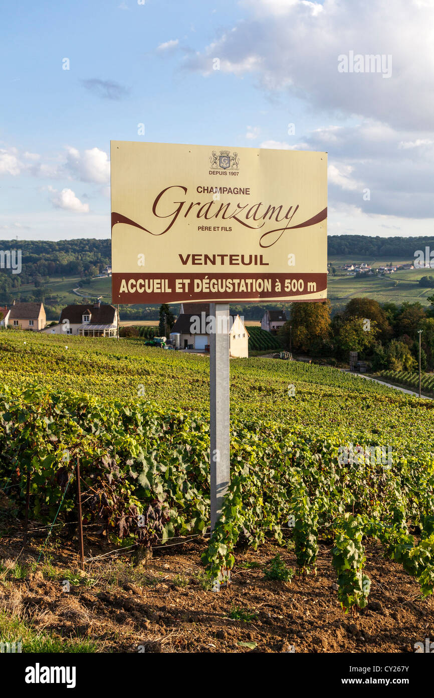 Champagne region france vineyard hi-res stock photography and images ...