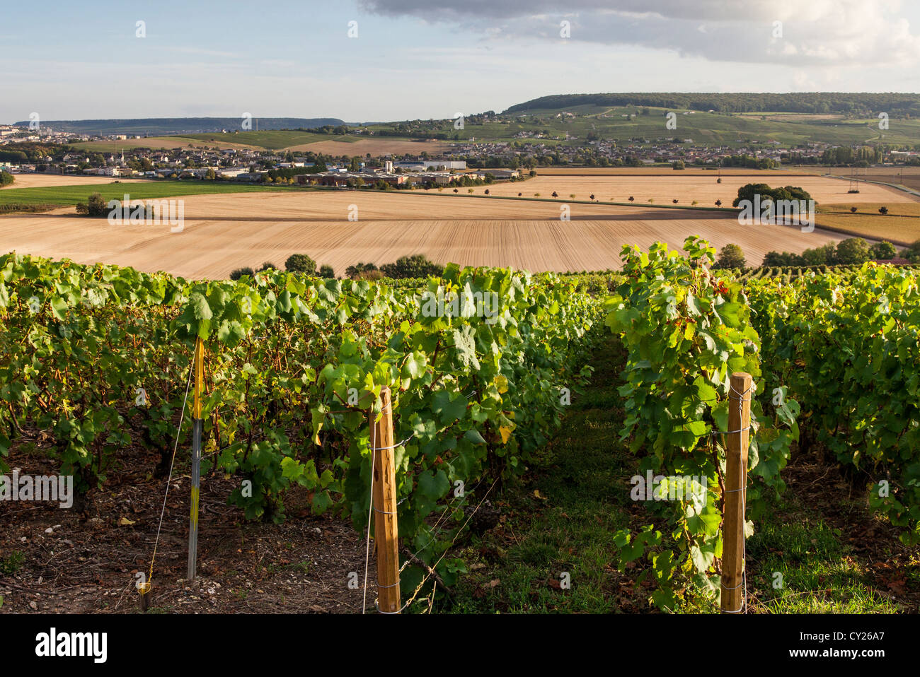 Champagne region, vineyard hi-res stock photography and images - Alamy