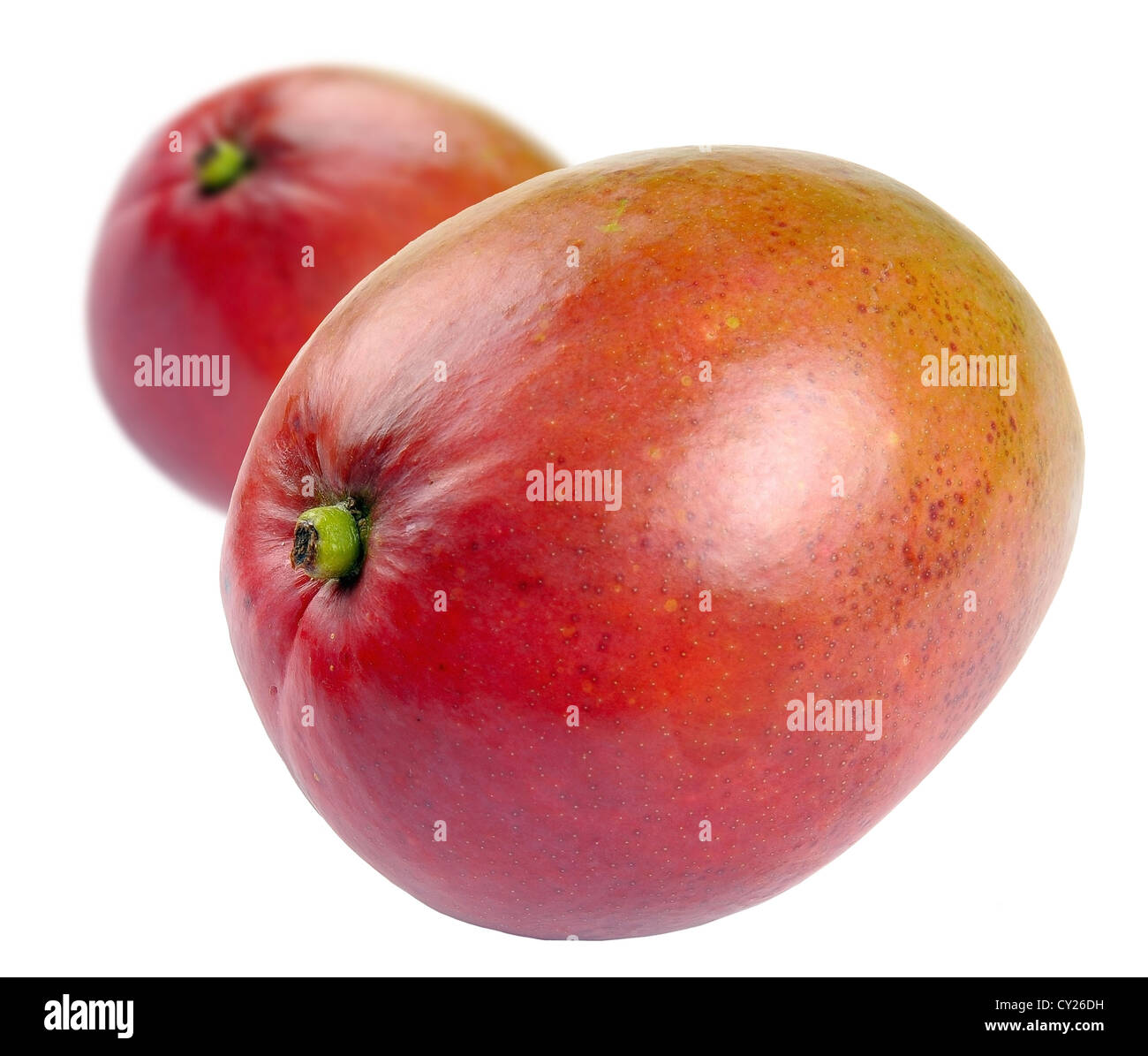 two mango on a white background Stock Photo - Alamy
