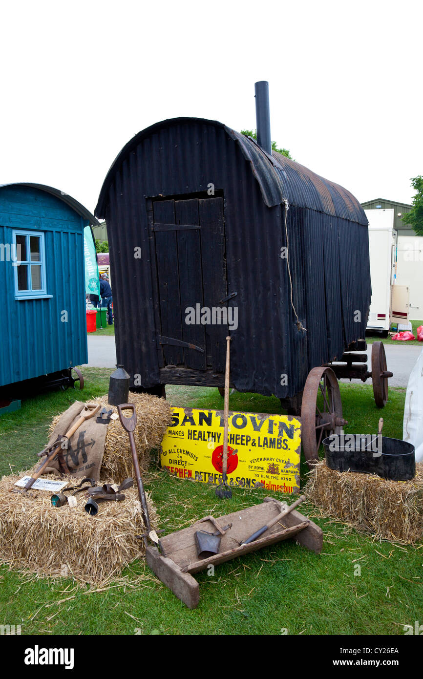 Iron sheep hi-res stock photography and images - Alamy