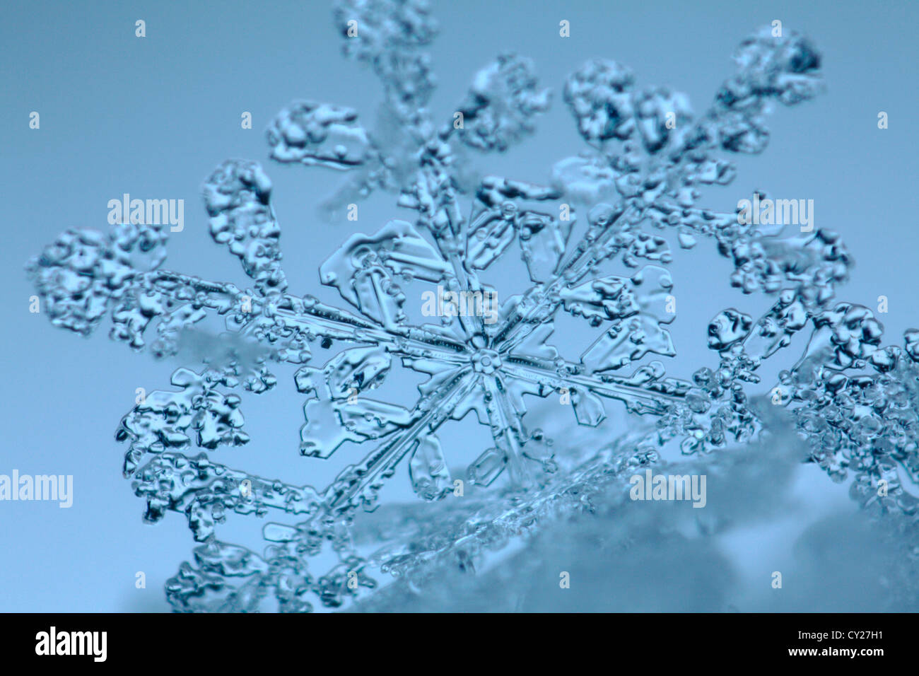 Extreme close-up of a snowflake Stock Photo - Alamy