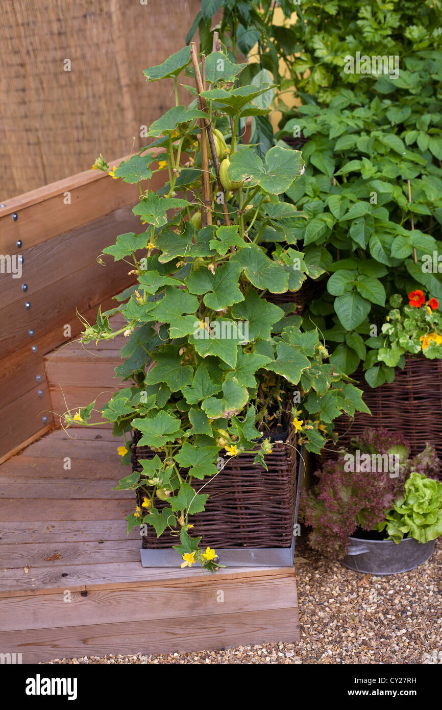 Wicker containers hi-res stock photography and images - Alamy