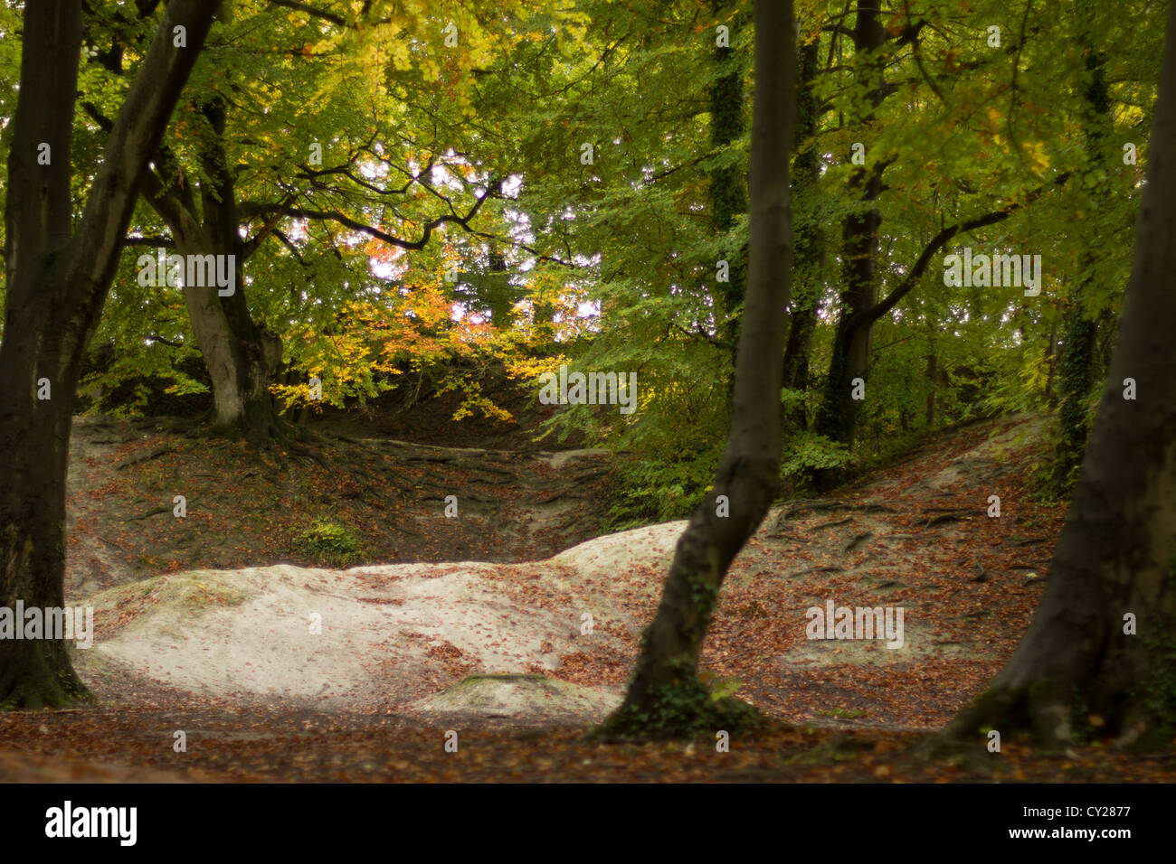 Chilterns autumn hi-res stock photography and images - Alamy
