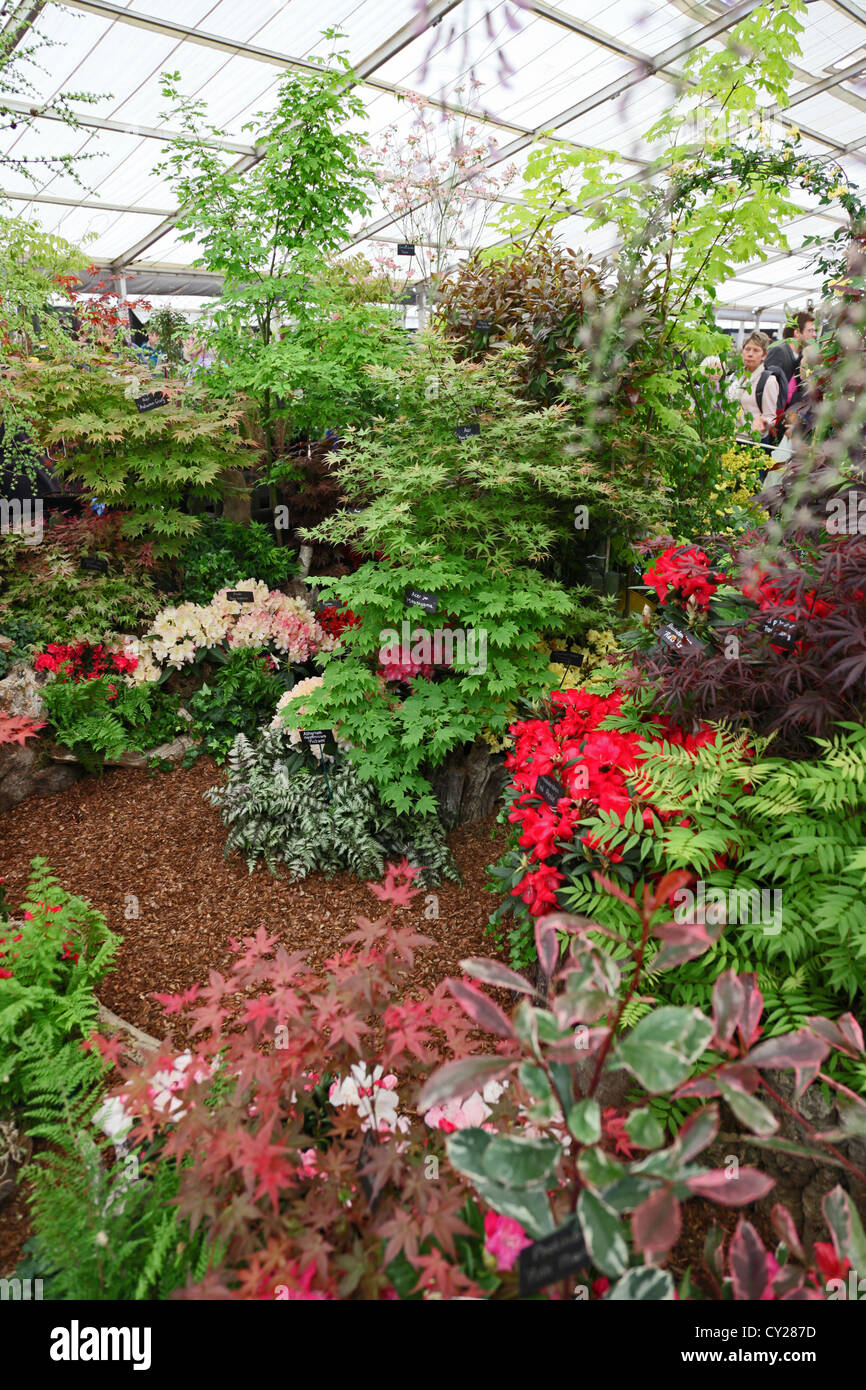 Trade show display hi-res stock photography and images - Alamy