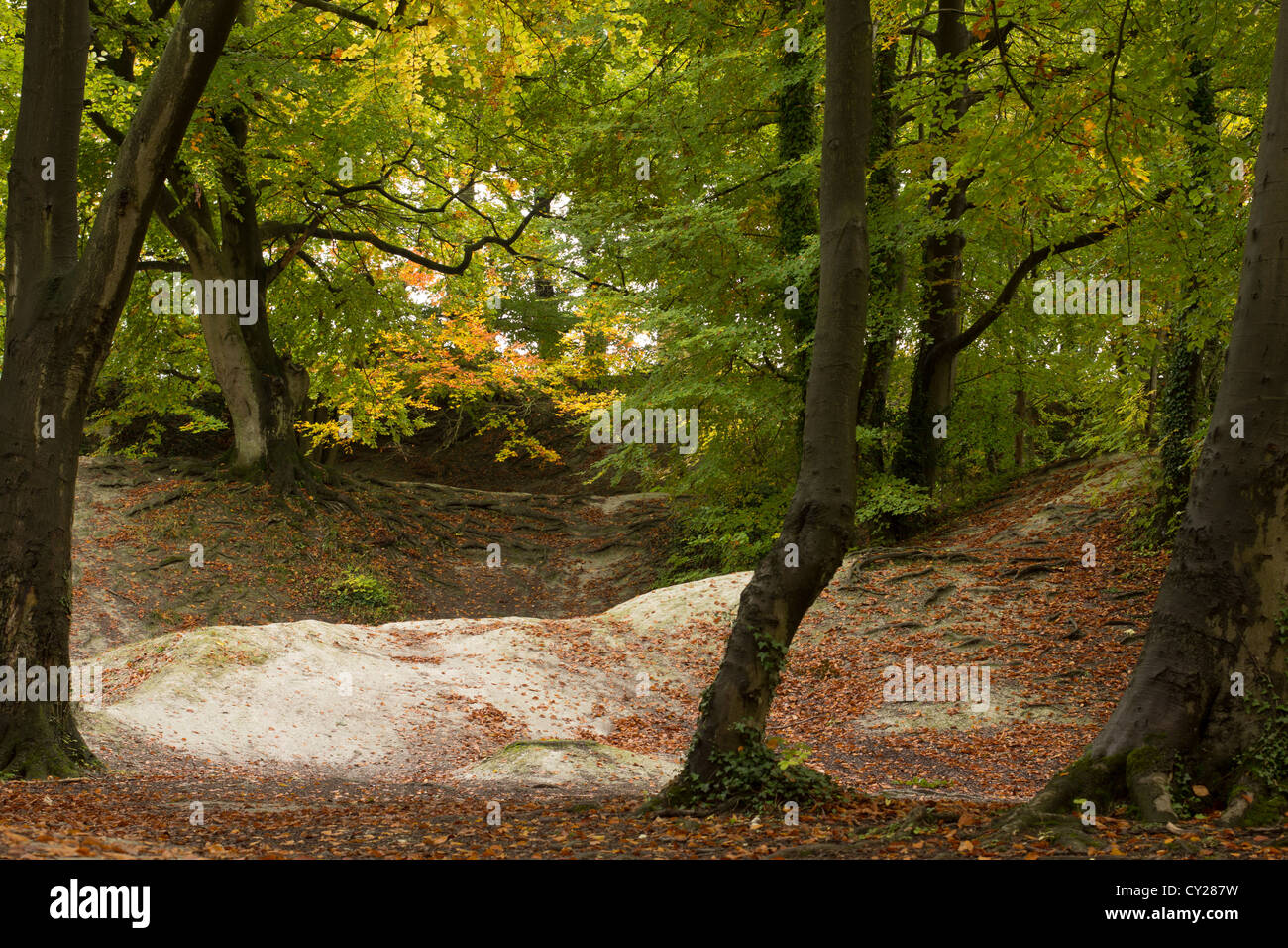 Autumn at Barton Springs, Bedfordshire Stock Photo - Alamy