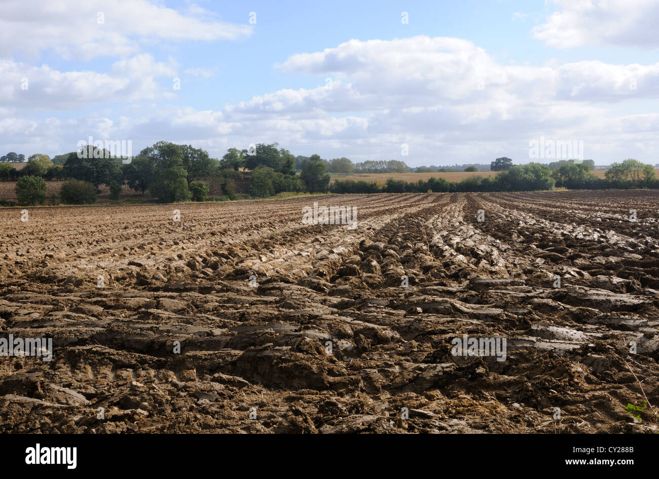 Claydon hi-res stock photography and images - Alamy
